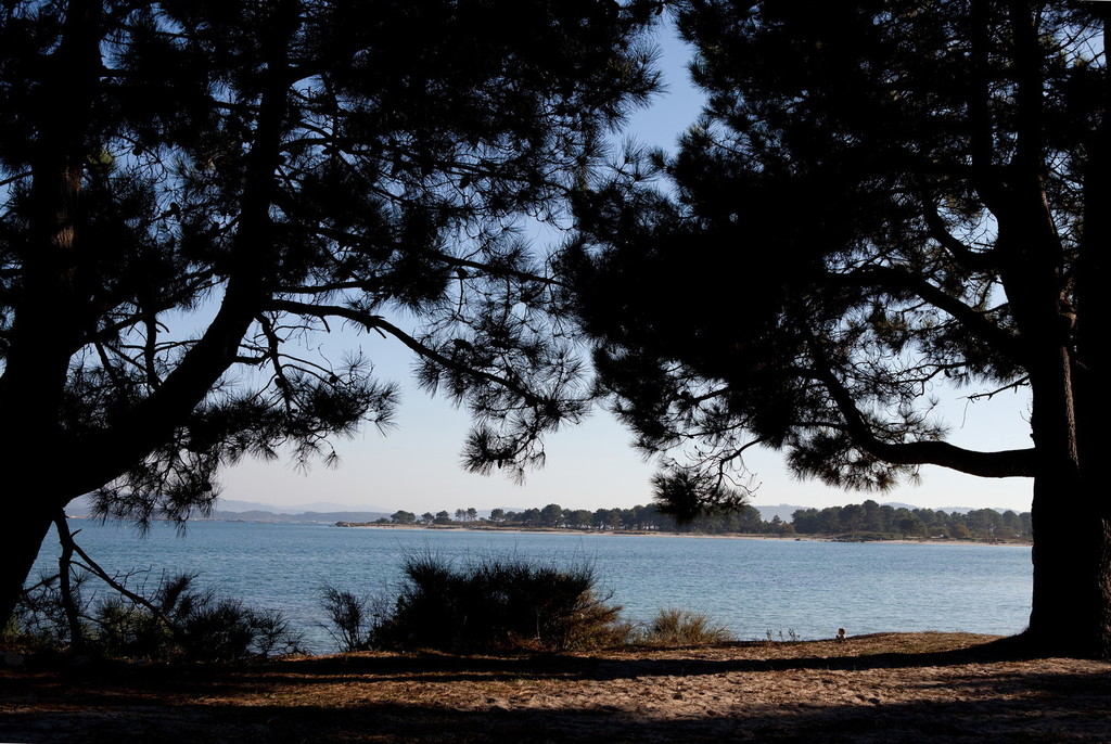Ruta del Mar de Arousa y río Ulla - Camino de Santiago en Galicia: web ...